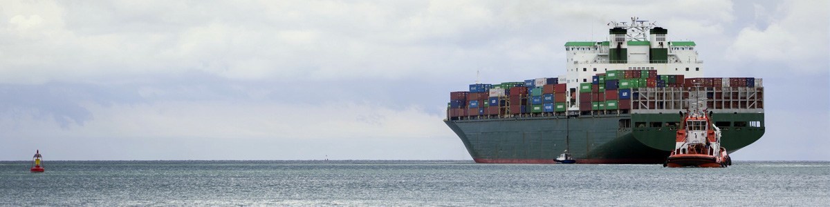 Filters for Ballast Water Treatment Systems
