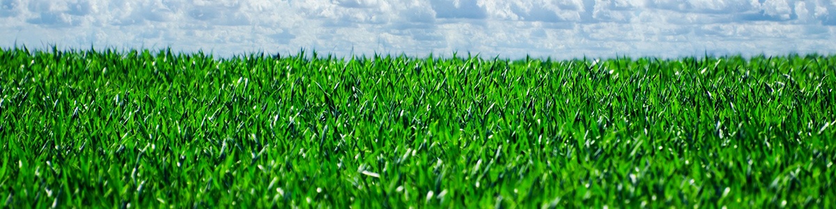 Experts in Water Reuse & Recycling